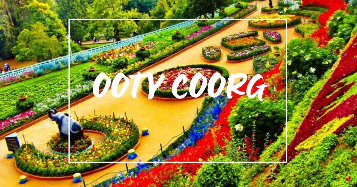 Book Ooty Coorg Tour Package at Best Price - TripBibo.com