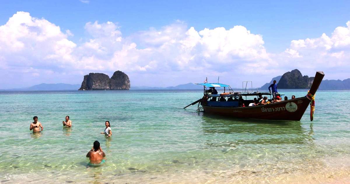 Exploring the Untamed Beauty of Coastal Adventure Tours